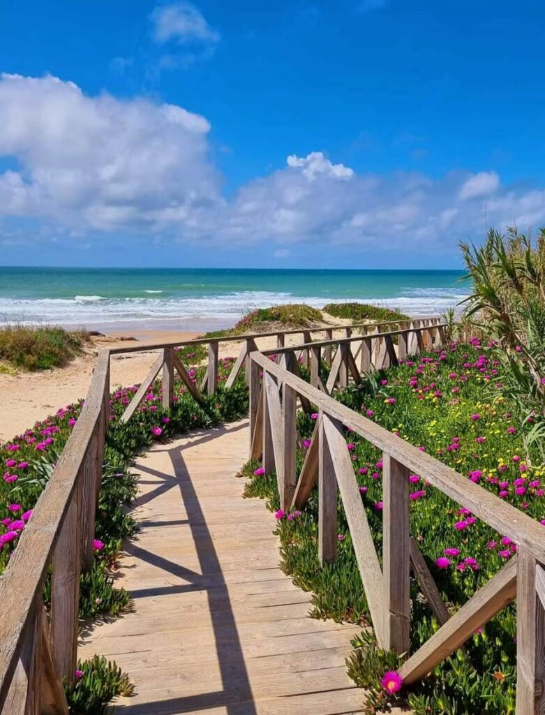 Playa_del_Palmar-entre_Conil_y_Vejer-Cadiz | Notarios y Registradores